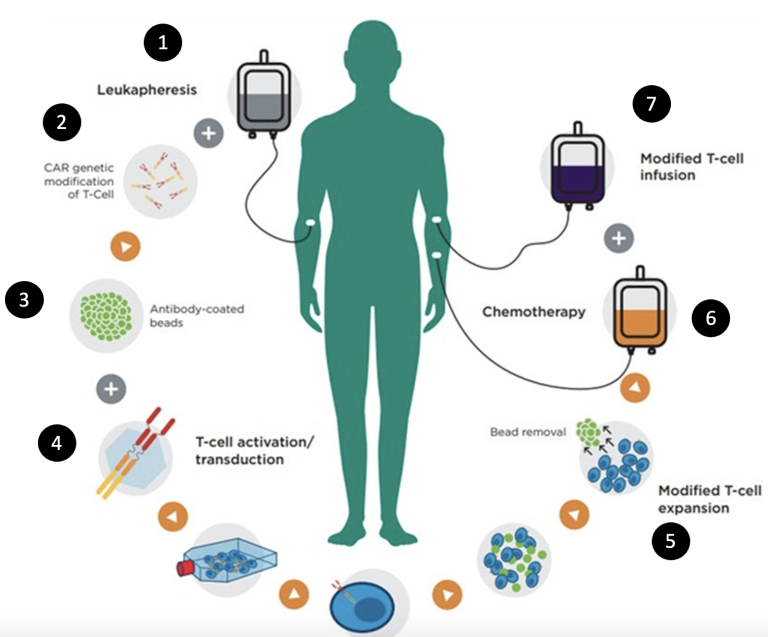 CAR-T – Abgentil Biomedical